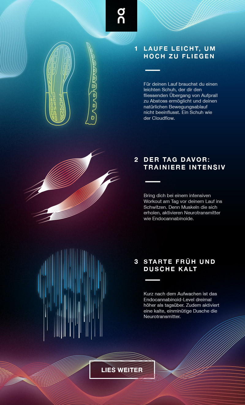 Nr. 8/2017 | Mach dich auf die Socken!